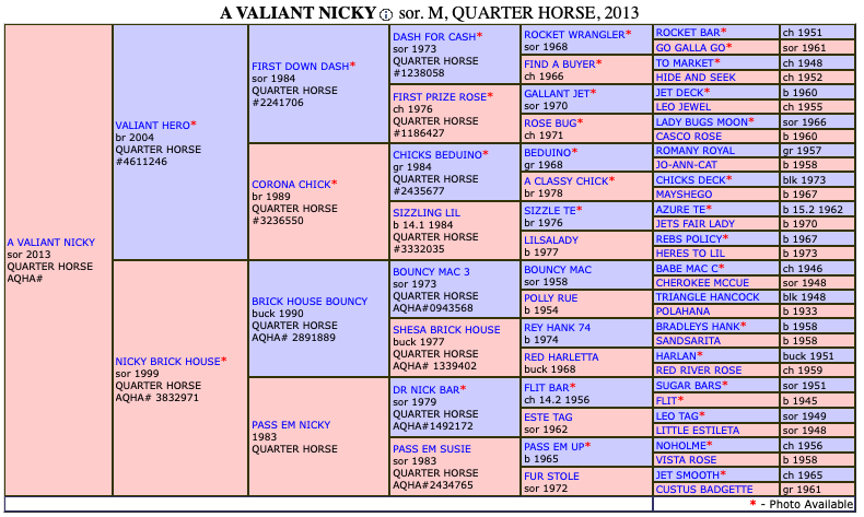 Meet The American Rodeo 2023 Barrel Racing Contestants