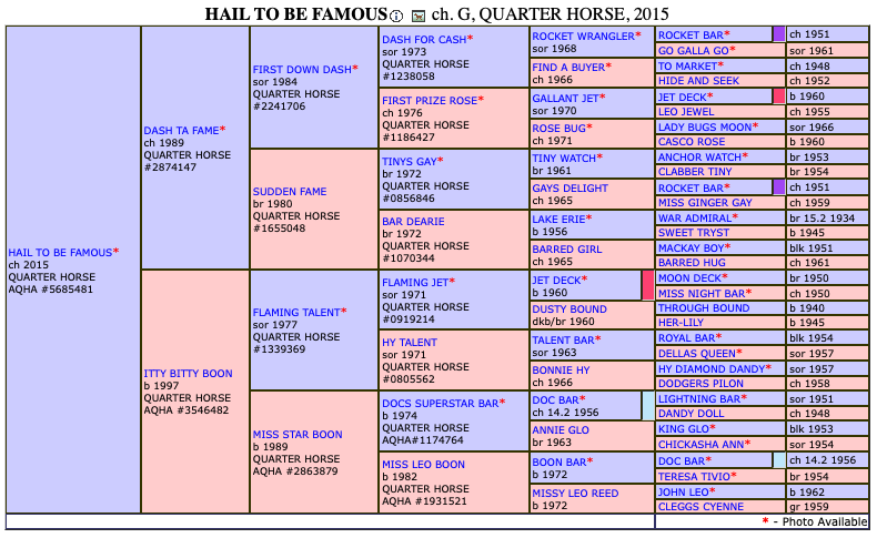 Meet The American Rodeo 2023 Barrel Racing Contestants