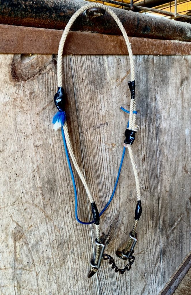 Breaking Down Barrel Racing Bits Part 2: Gags, Combos and More