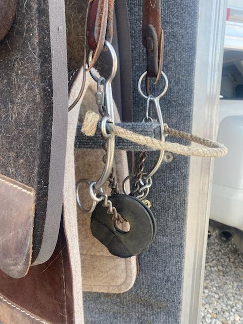 Breaking Down Barrel Racing Bits Part 2: Gags, Combos and More