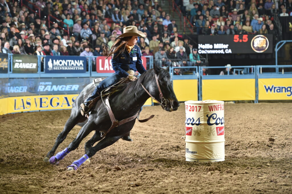 The Bits of World Champion Barrel Horses: 1984-2022