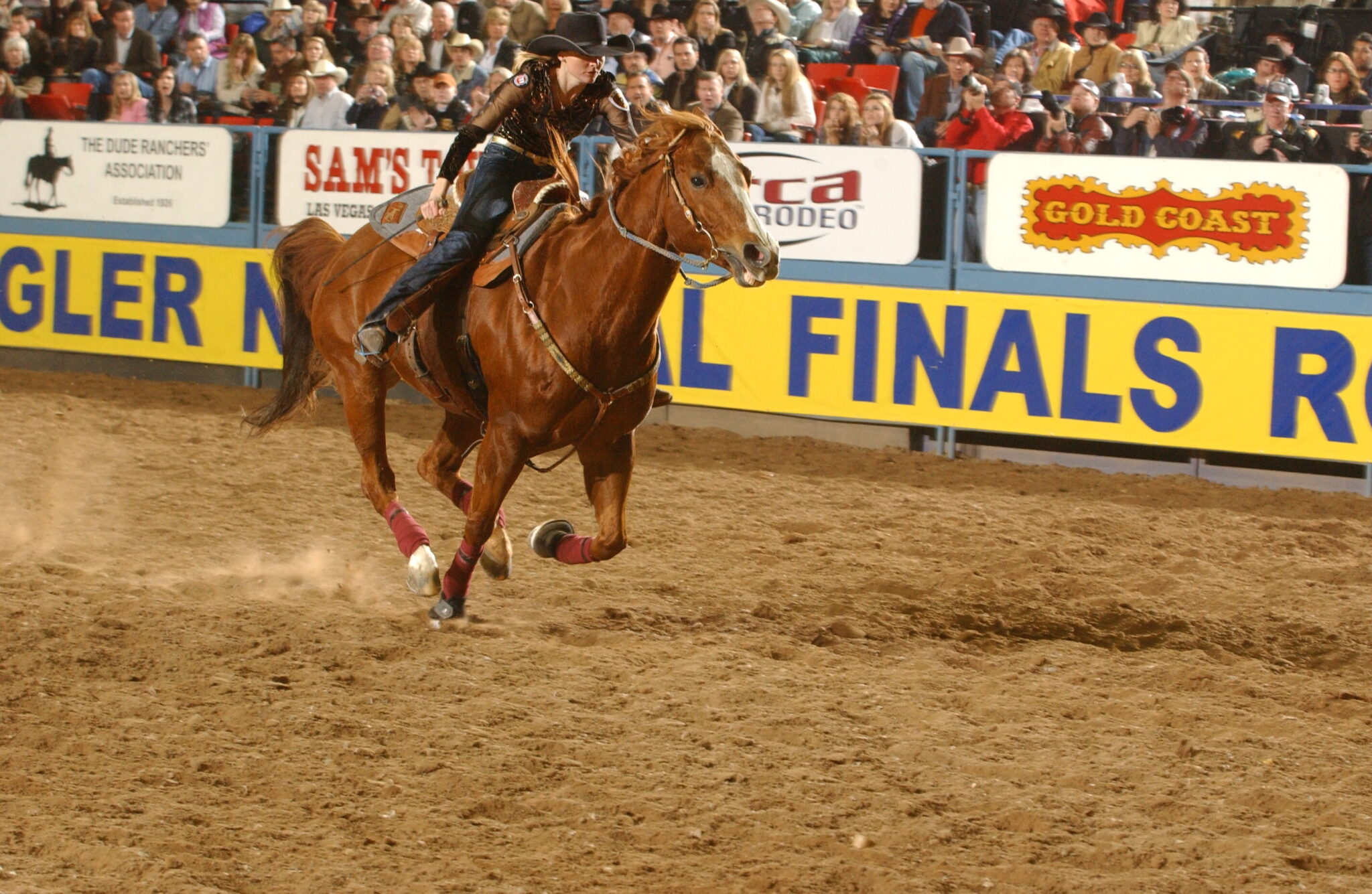 The Bits of World Champion Barrel Horses: 1984-2022