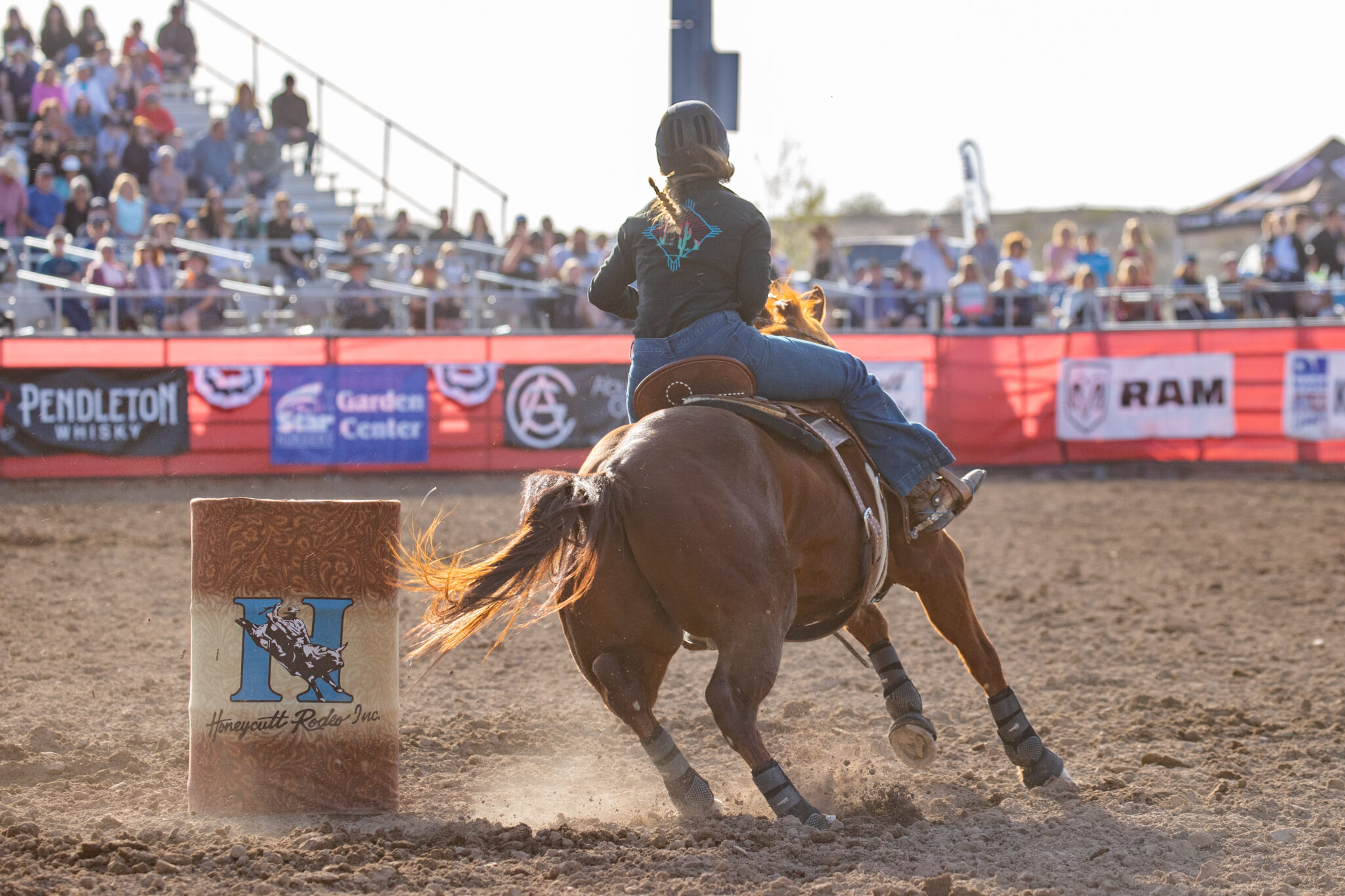 Major Flex: Main Horse Muscle Groups Vital for Barrel Racing