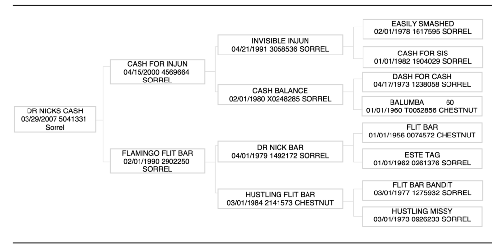 Kalli McCall Wins 2023 Resistol Rookie Roundup Barrel Racing