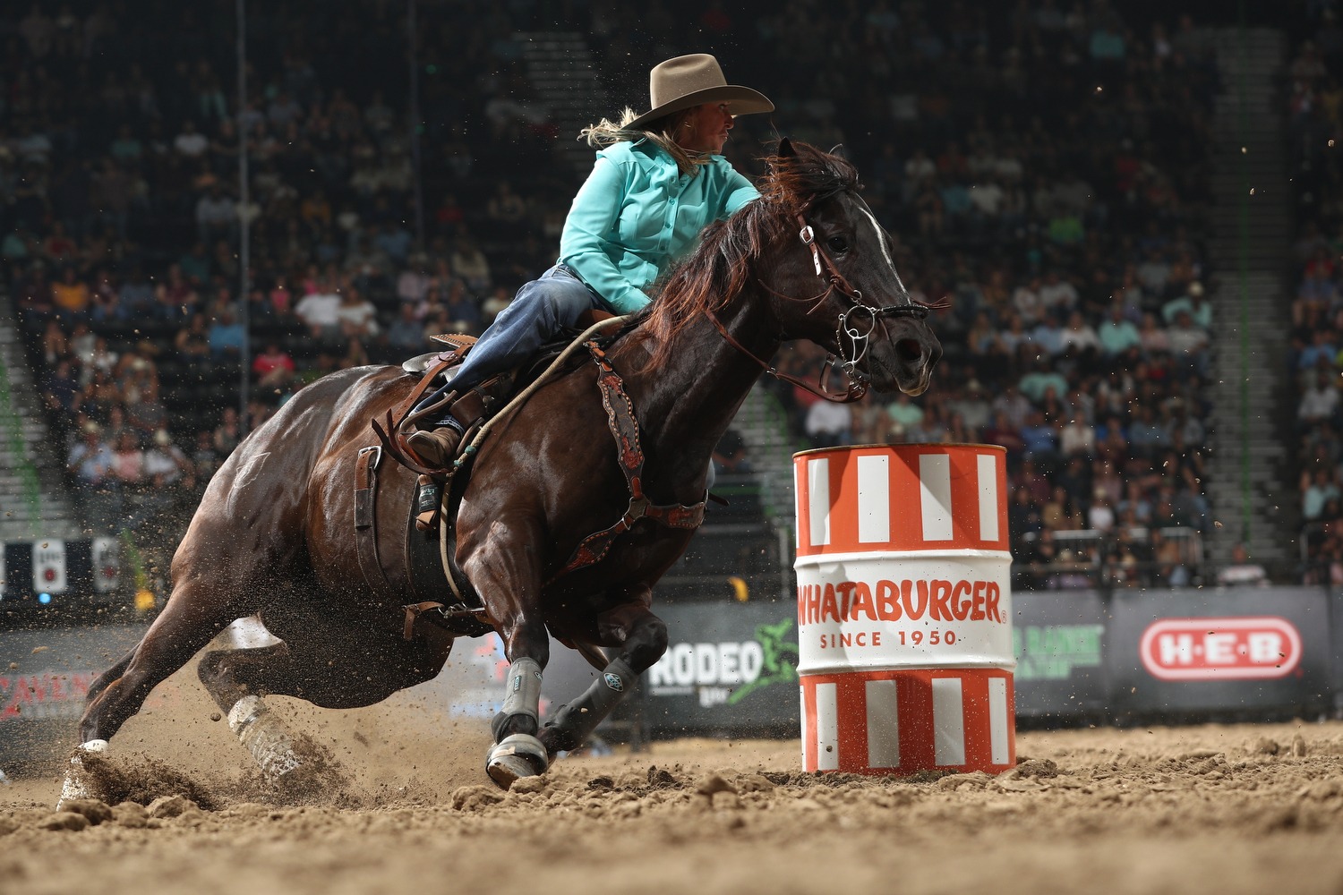 5 Things Your Barrel Horse Wants You to Know About Hock Health