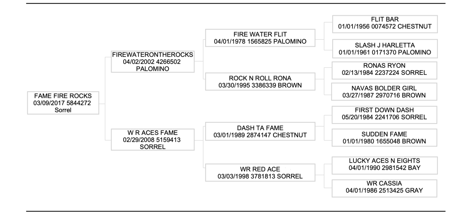 Fame Fire Rocks Wins 2023 WPRA Horse of the Year Honors