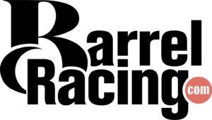 Understanding the Anatomy of Barrel Racing Bits