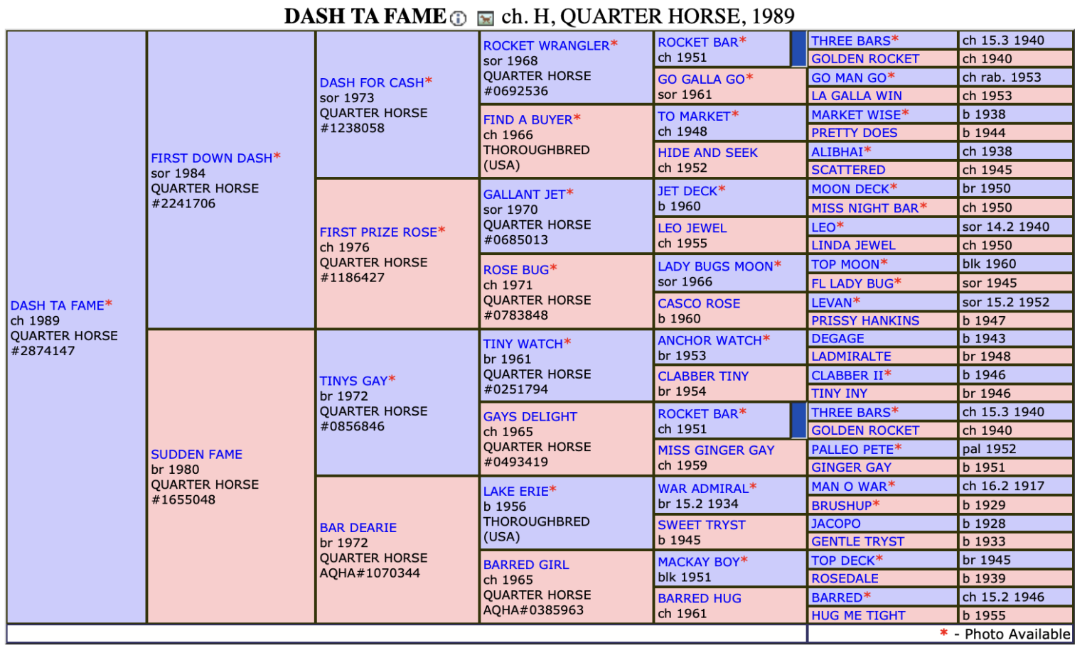 Learn About Dash Ta Fame Horse of the Year Barrel Horses