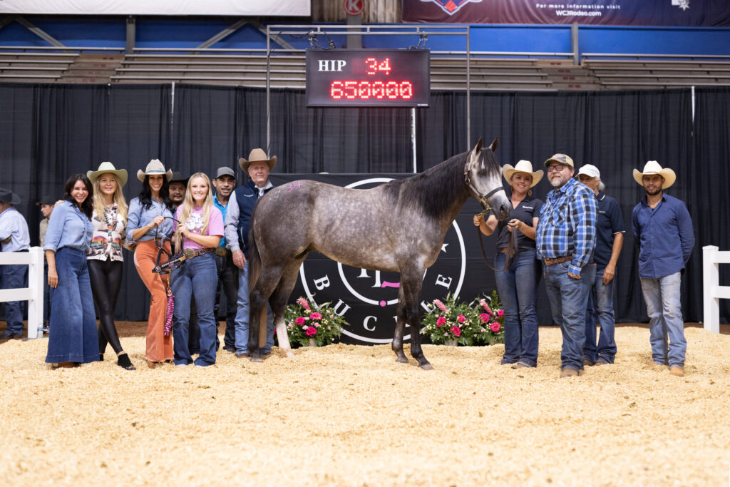 Darrell Martin, 4M Equine Ranch Makes Pink Buckle Waves
