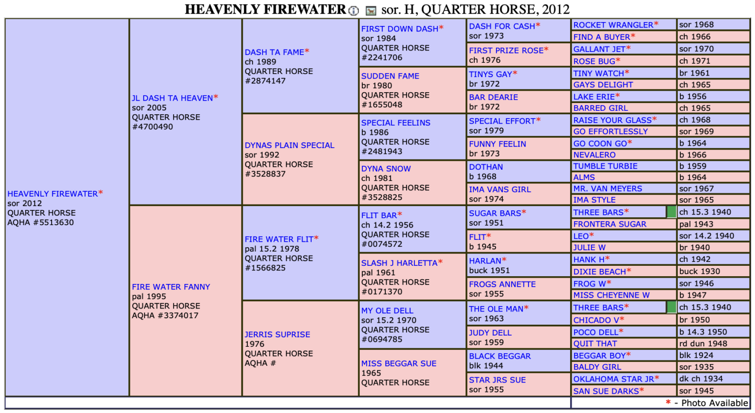 The Complete List of 2023 NFR Barrel Racing Horses