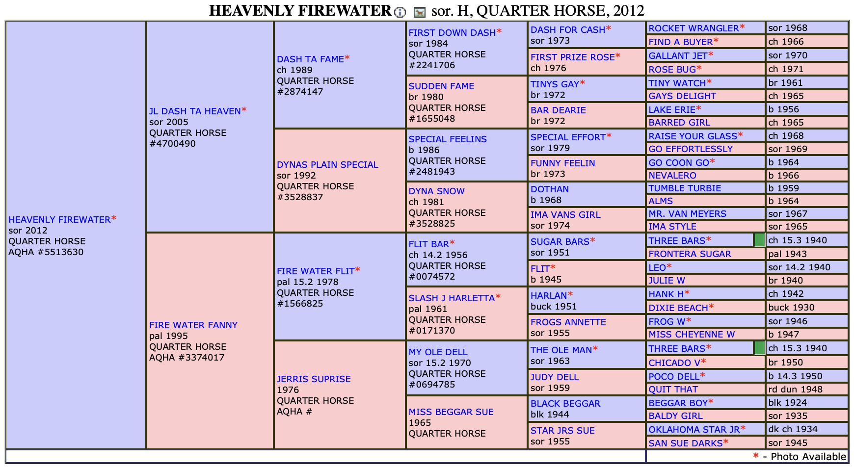 The Complete List of 2023 NFR Barrel Racing Horses