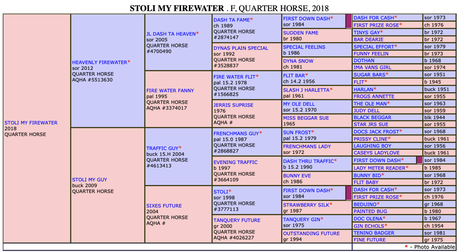 The Complete List of 2023 NFR Barrel Racing Horses