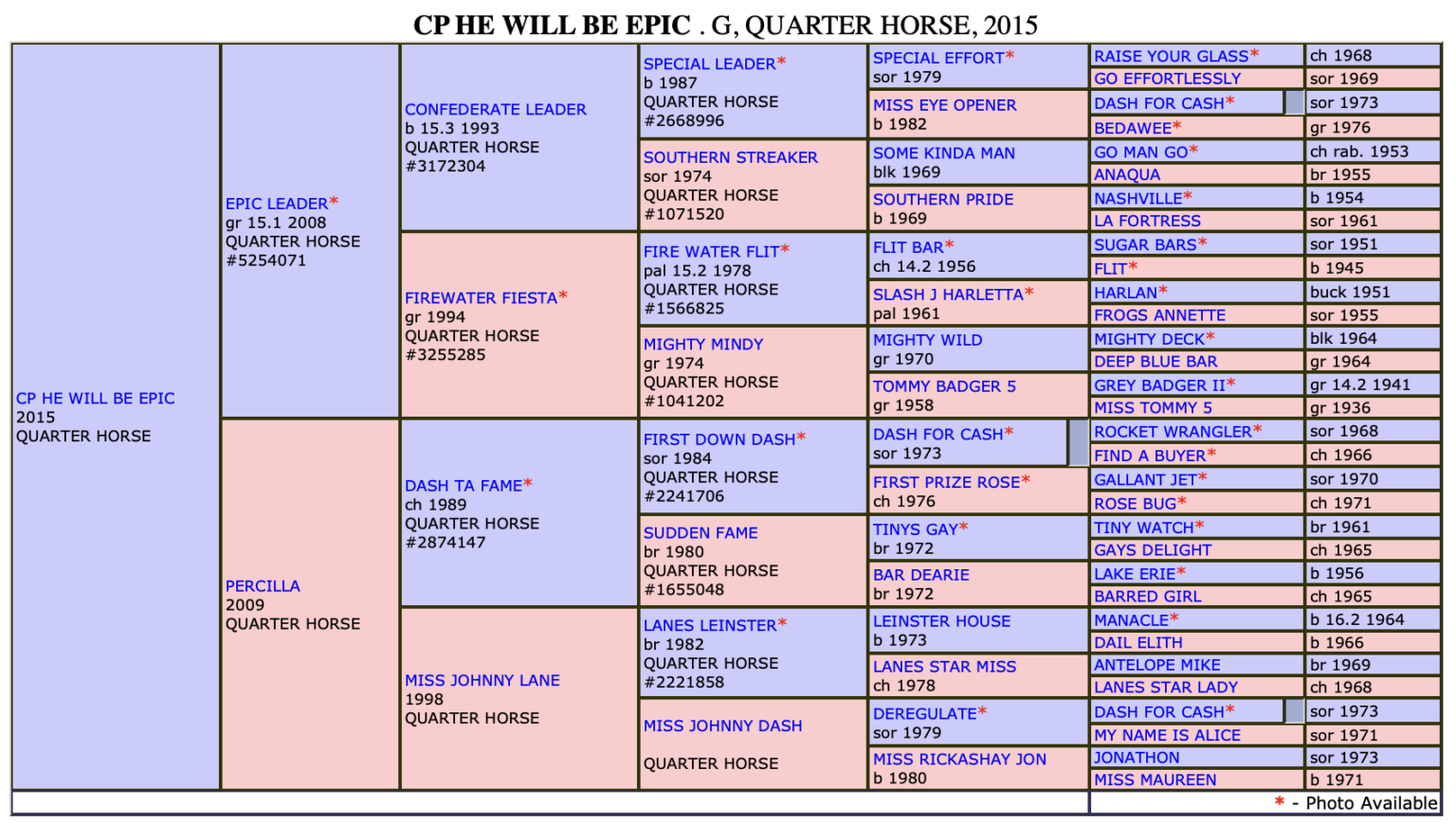 The Complete List of 2023 NFR Barrel Racing Horses