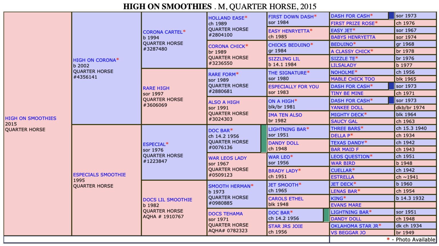 The Complete List of 2023 NFR Barrel Racing Horses