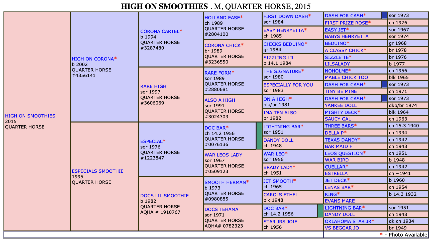The Complete List of 2023 NFR Barrel Racing Horses