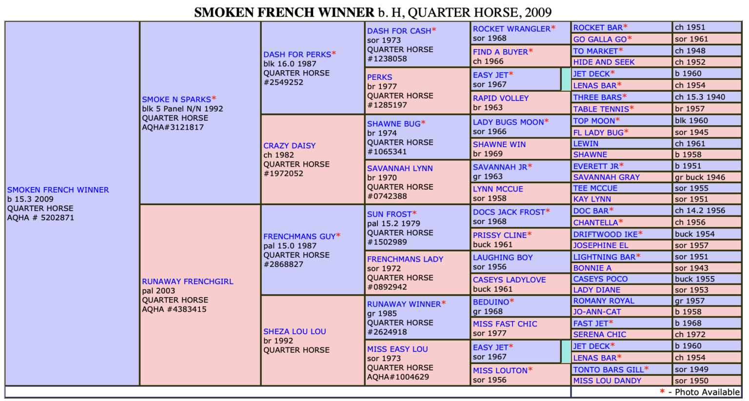 The Complete List of 2023 NFR Barrel Racing Horses