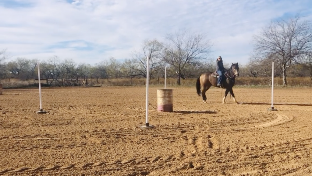 Why Does Stephanie Fryar Train a Square Barrel Racing Turn ...