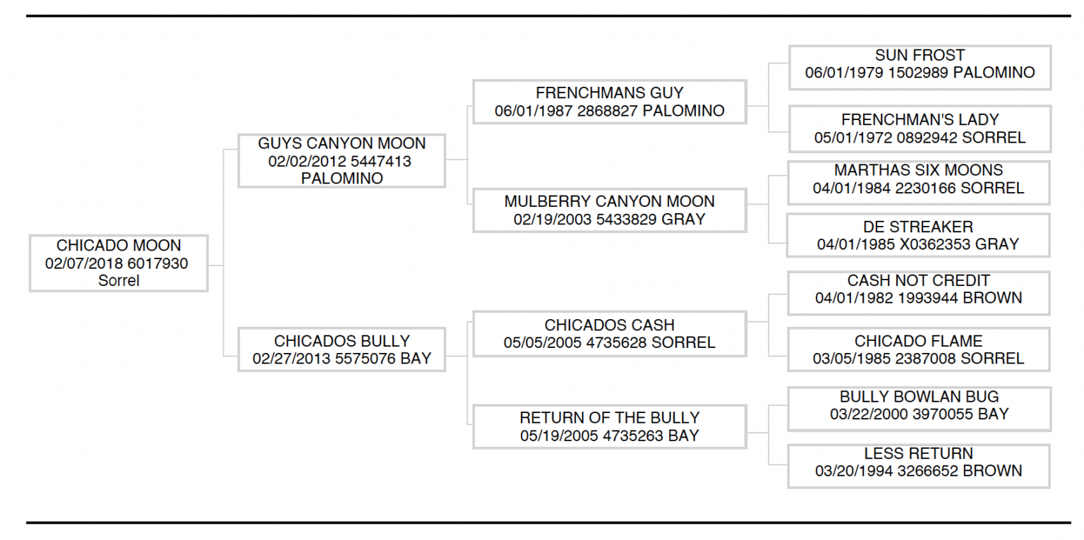 Makenzie Mayes Advances at 2024 Rodeo Corpus Christi