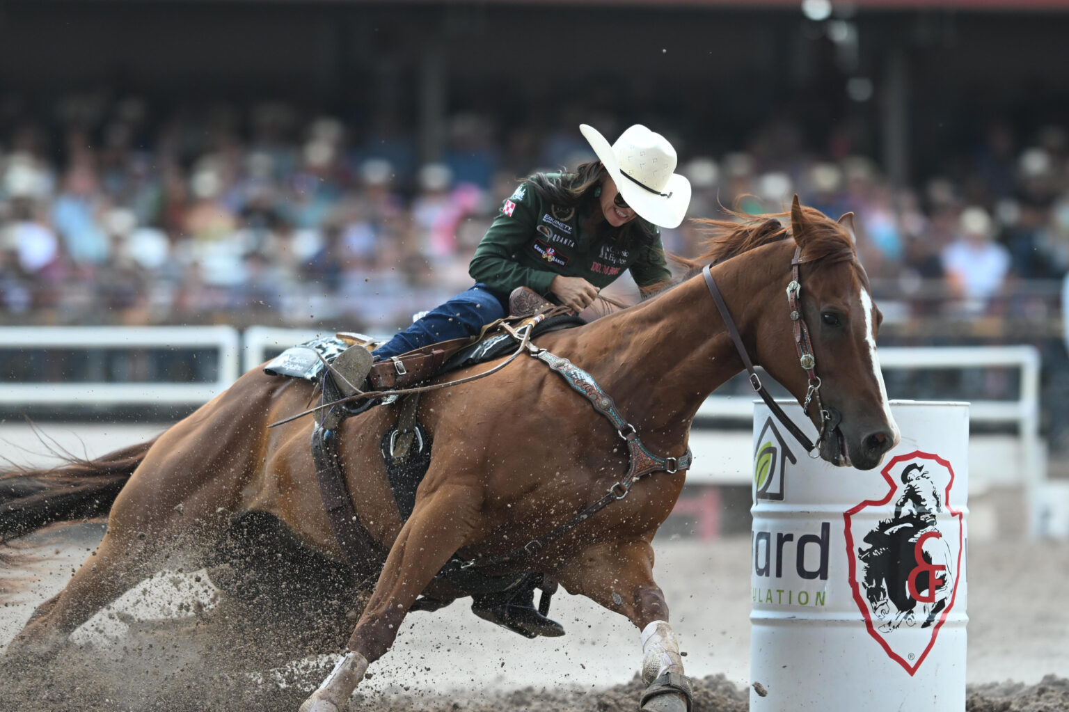 Barrel Racer's Guide to Pink Buckle Sale 2024