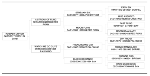 Dusky Lynn Hall Becomes Barrel Racing's First 10-Year-Old With $1 ...