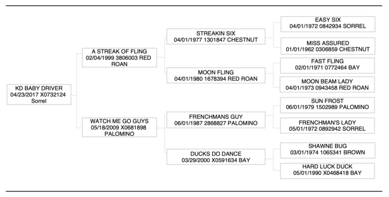 Dusky Lynn Hall Becomes Barrel Racing's First 10-Year-Old With $1 ...