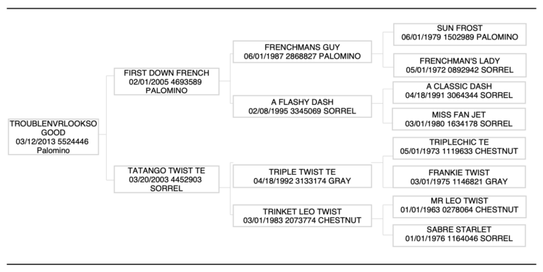 Dusky Lynn Hall Becomes Barrel Racing's First 10-Year-Old With $1 ...