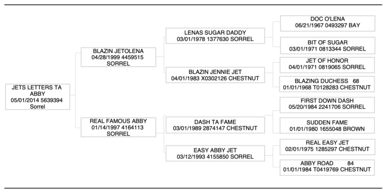 Dusky Lynn Hall Becomes Barrel Racing's First 10-Year-Old With $1 ...