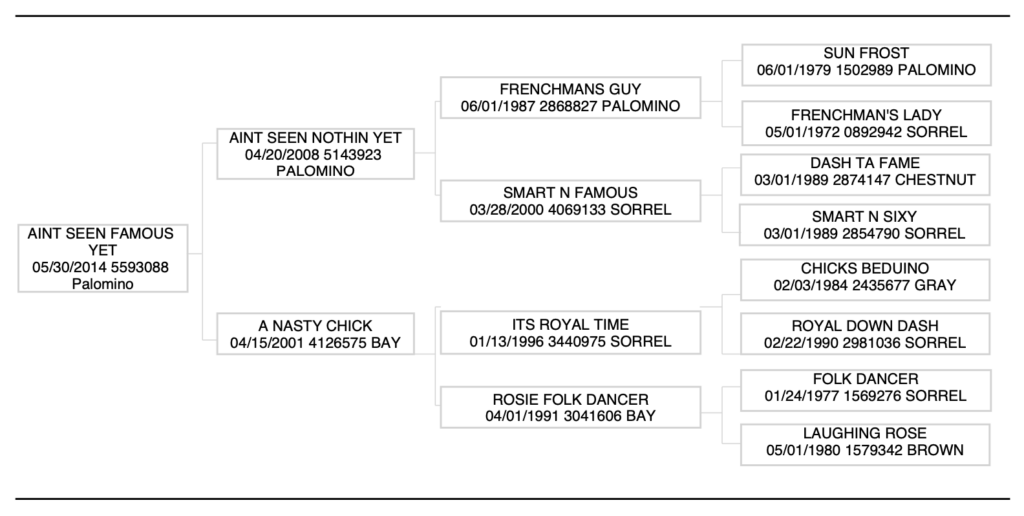 Dusky Lynn Hall Becomes Barrel Racing's First 10-Year-Old With $1 ...
