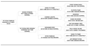 Dusky Lynn Hall Becomes Barrel Racing's First 10-Year-Old With $1 ...