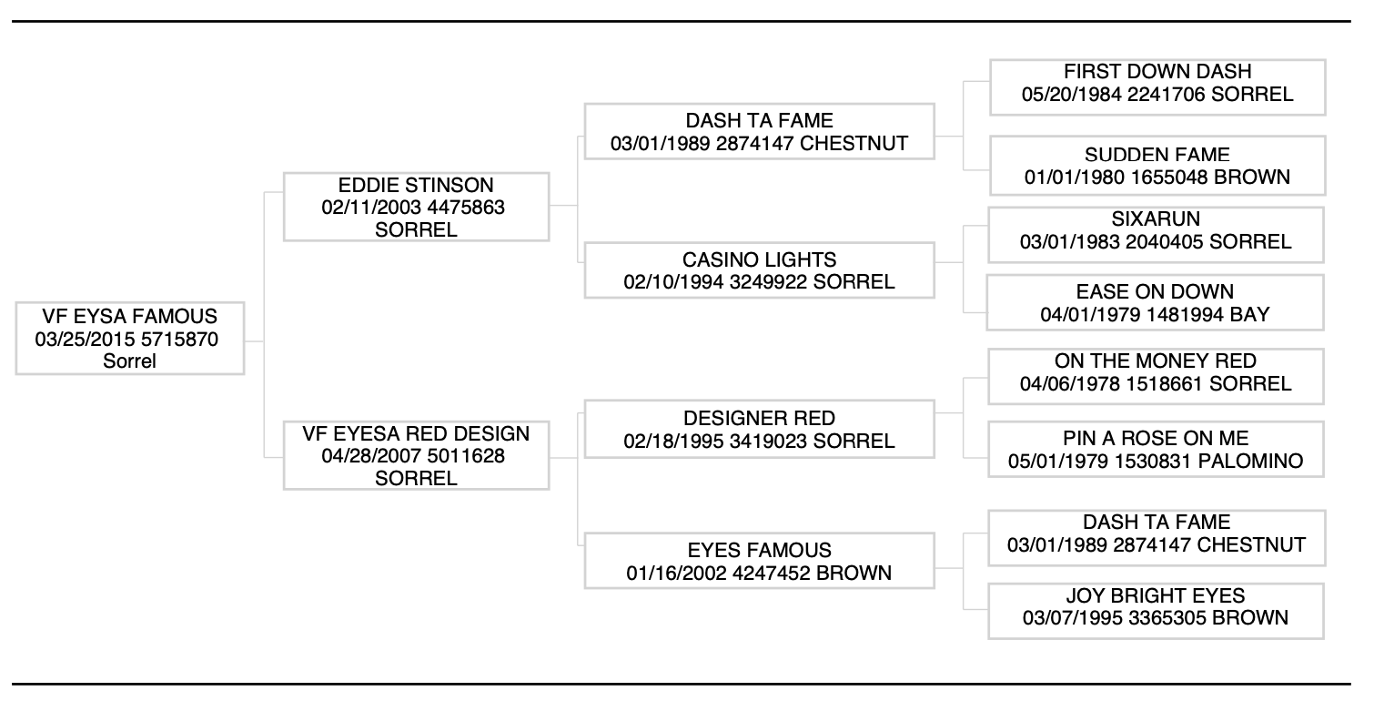 Dusky Lynn Hall Becomes Barrel Racing's First 10-Year-Old With $1 ...