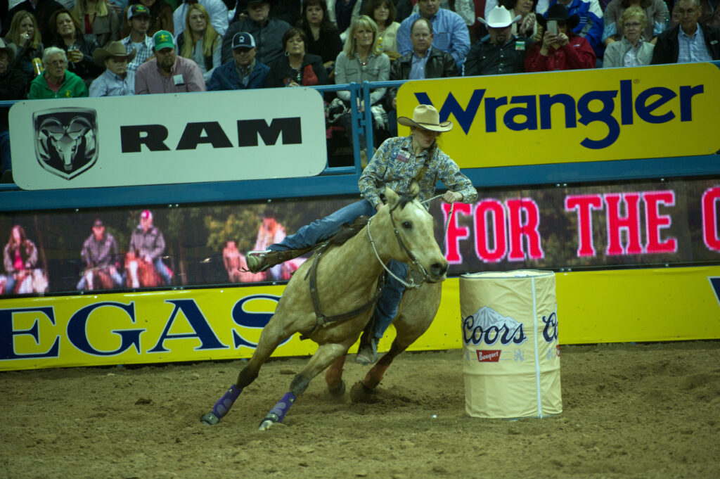 Meet the Longest Lasting ProRodeo Barrel Horses of All Time ...