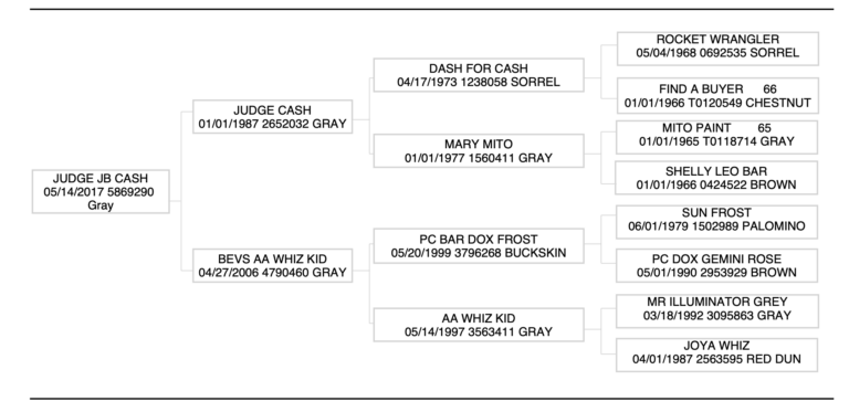 Roll Coll: The Complete List of Horses Headed to NFR 2024 ...