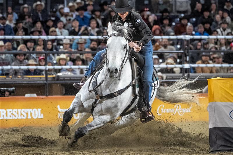 Welcome to BarrelRacing.com