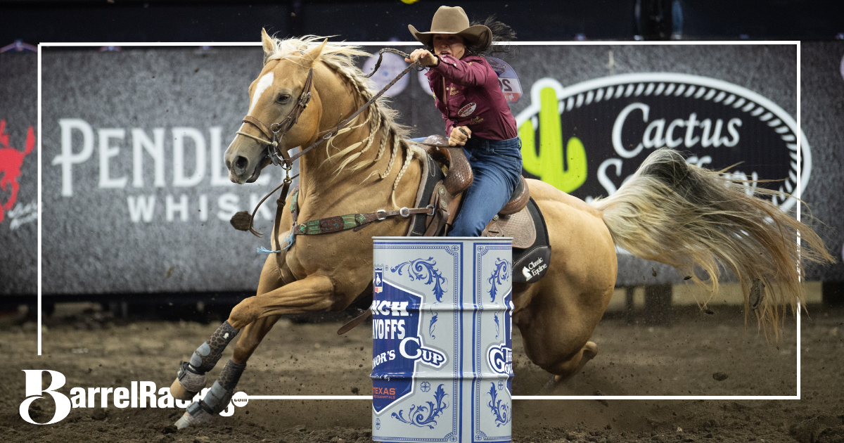 DM Sissy Hayday Wins 2025 WPRA Horse of the Year Title