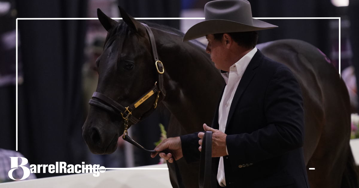 2026 Pink Buckle Sale Guide: Every Hip by Sire - BarrelRacing.com