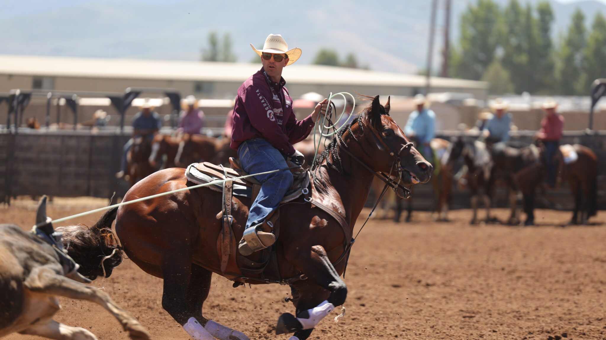 It's True: Team Ropers ARE Addicted to The Goodbye Lane - BarrelRacing.com