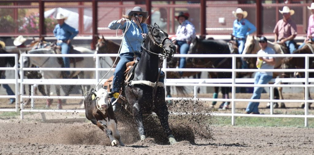 The American Semifinals Cheat Sheet: Breakaway Roping Performance 3 ...