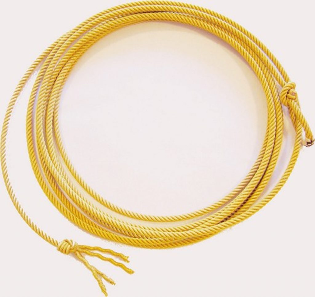 Breakaway Rope Guide