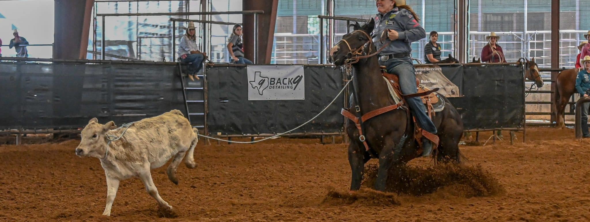 Big Stops For Your Breakaway Horse