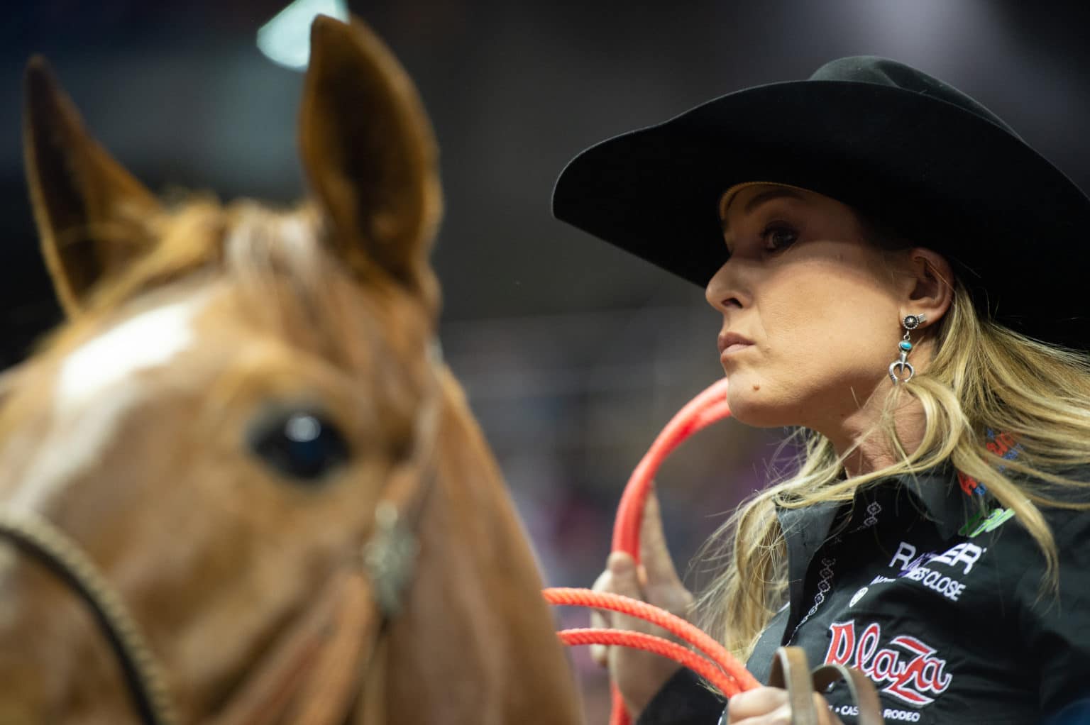 2024 NFBR Horses: The Top 15 Breakaway Roper's Horses