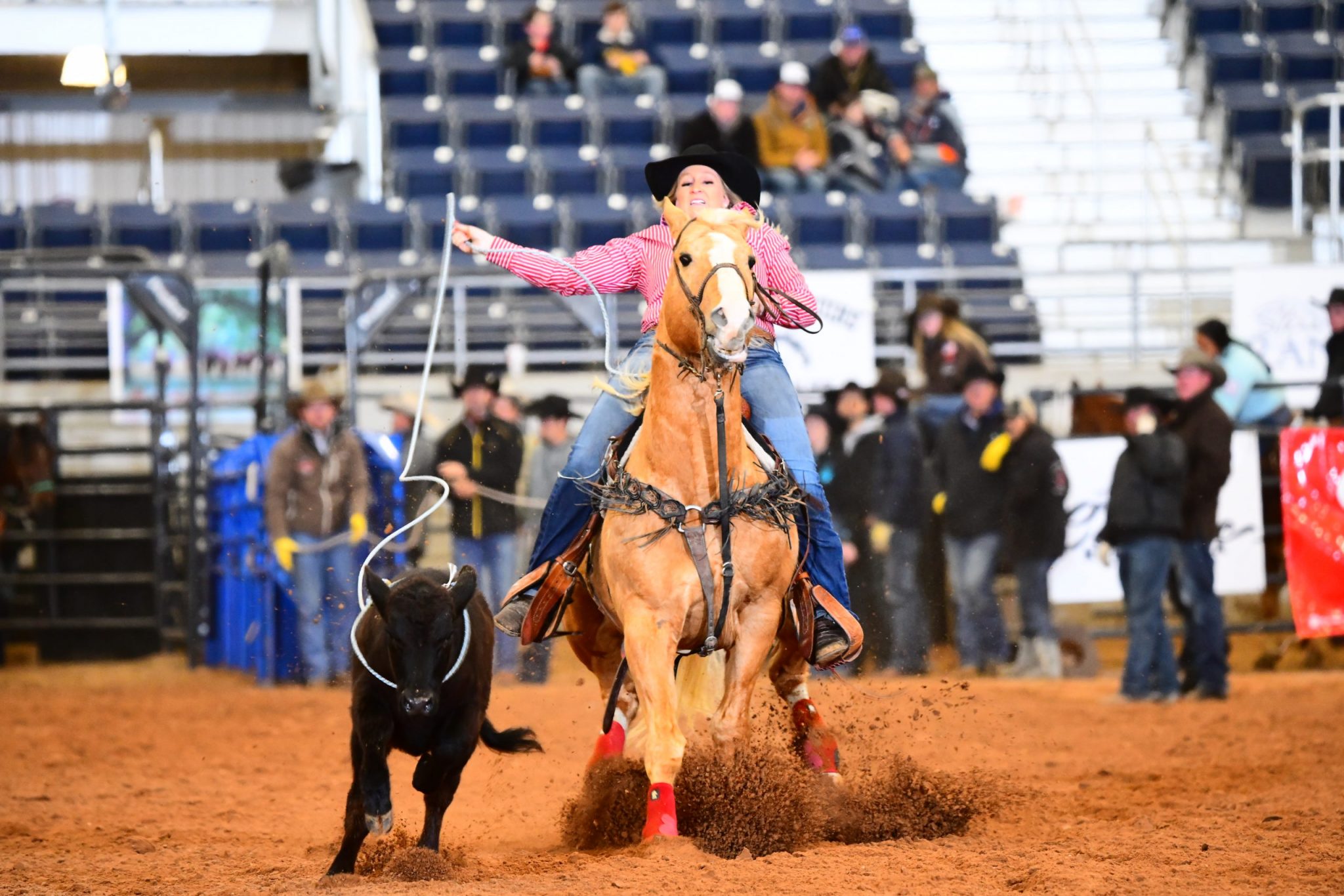 Breakaway Roping Horse Training and Mental Strategies with Abigayle ...