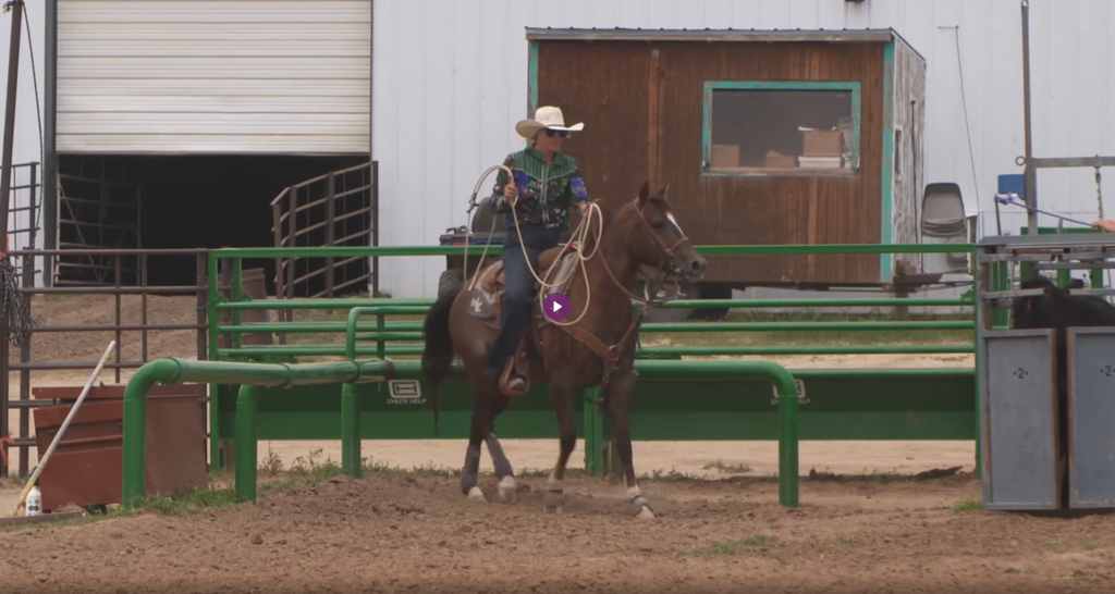 Finding Release in the Corner with a Walk Score - The Breakaway Roping ...