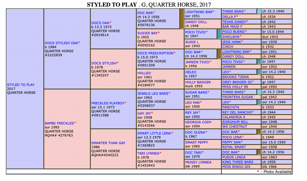 Amanda Coleman Captures Inaugural Clovis Breakaway Roping - The ...