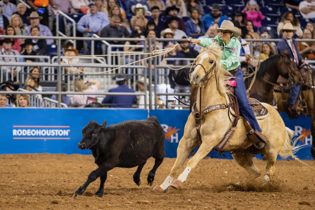 The Top 10 Breakaway Roping Horses of All Time