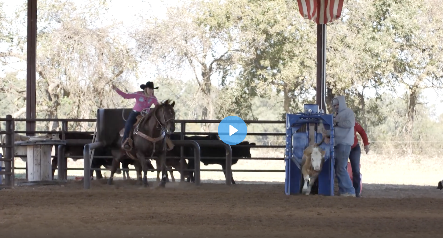 Troubleshooting Pressure Situations on a Seasoned Horse with Hope ...