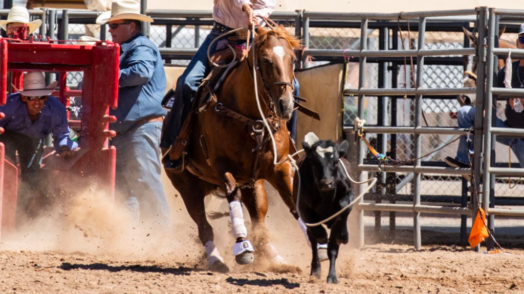 Halfway Point: Breakaway Ropers Leading the 2022 Circuit Standings