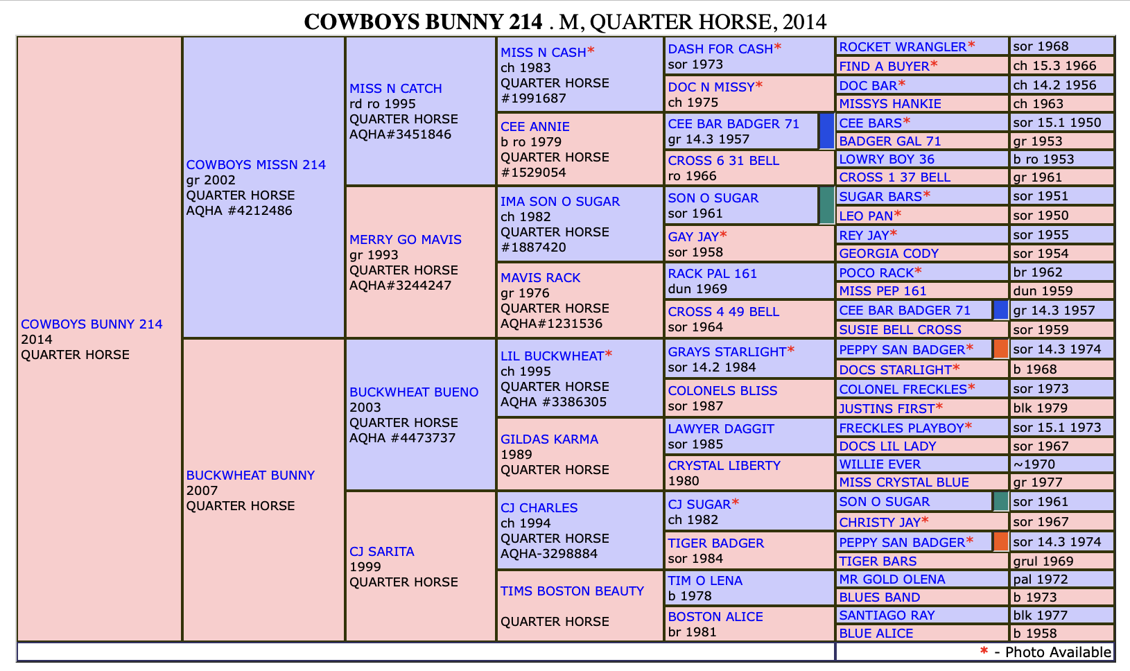 Meet Horse Trainer and Rising Rodeo Player Beau Peterson