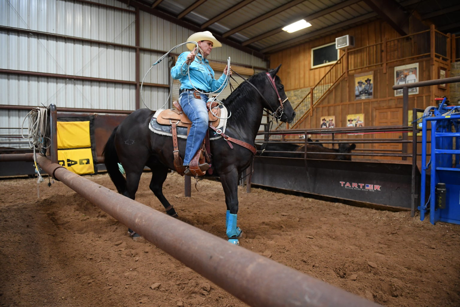 Nervous Horse Box Work with Lari Dee Guy