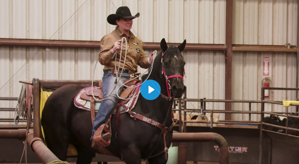 Preventing Your Breakaway Horse From Breaking Wide out of the Box