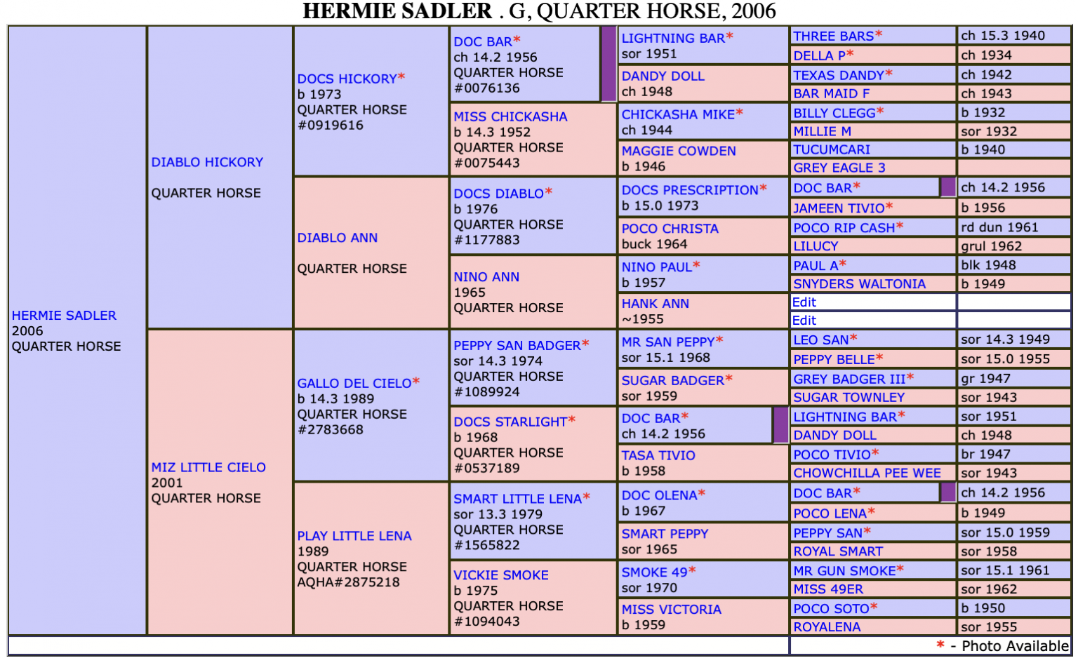 Bloodlines Behind the 2023 NFBR Breakaway Horses